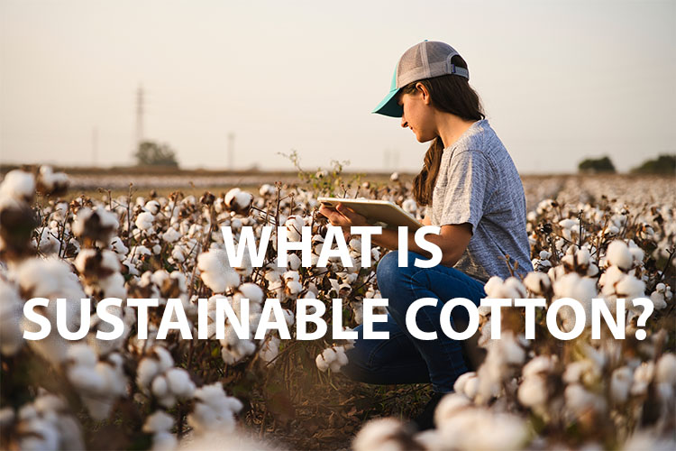 The Sustainable Cotton Guide: What Is It & How To Source It
